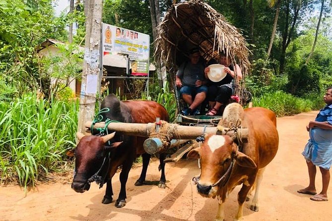 All inclusive Private Day tour Sigiriya, Dambulla & traditional village tour - The Review Perspective