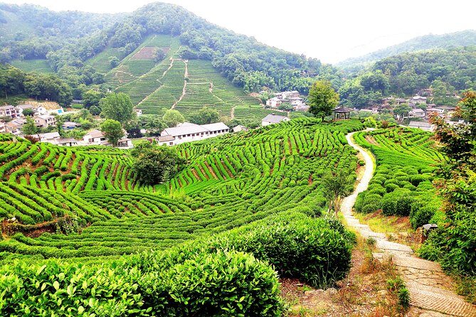 All-Inclusive Private Day Tour to Hangzhou by Bullet Train - Logistical Details and Value