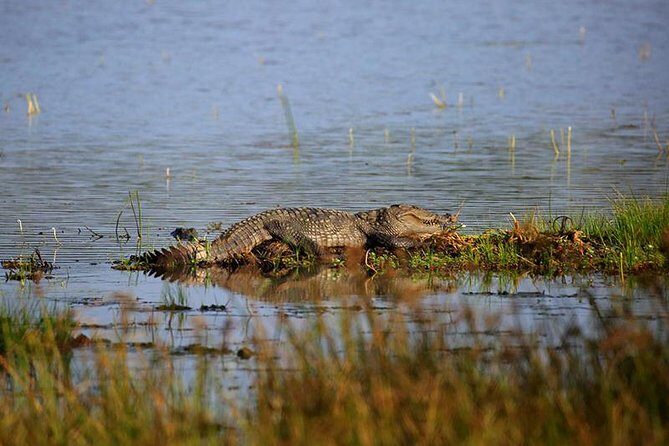All Inclusive Private day tour to Wipattu National Park From Negombo - FAQs