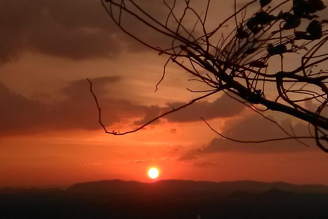 All inclusive Private day trip Sigiriya and Dambulla caves with more - Who Would Love This Tour?