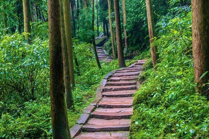 All-Inclusive Private Dujiangyan & Mount Qingcheng Day Tour - The Value of This Tour