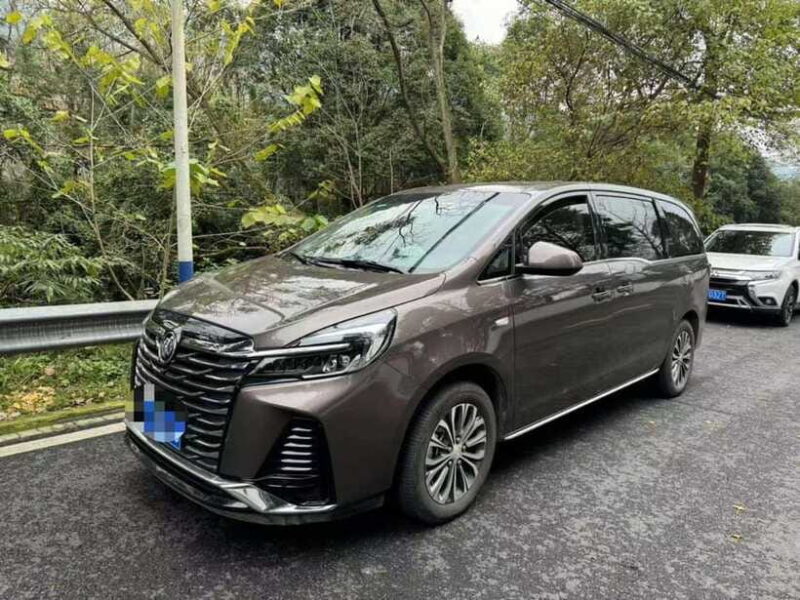 All-Inclusive Private Dujiangyan & Mount Qingcheng Day Tour - Authentic Experience and Practical Tips