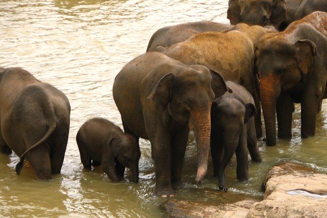 All inclusive Private jeep safari at Yala National park - FAQs