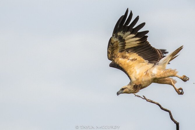 All Inclusive Private Safari in Minneriya National Park - FAQs