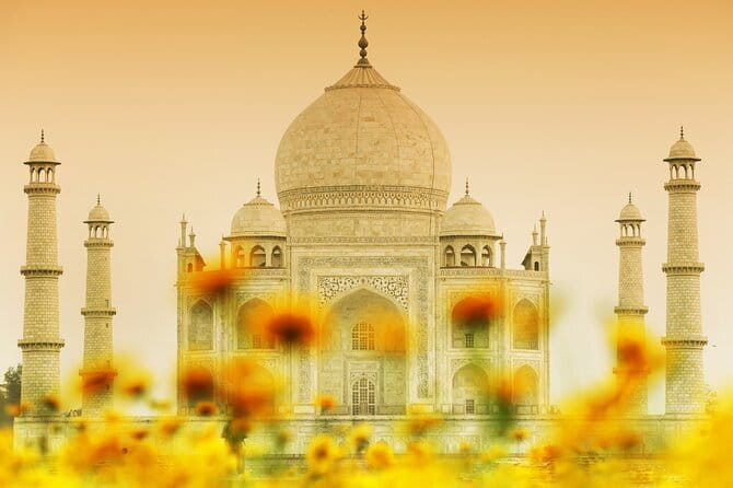 All-Inclusive Private Tour From Delhi To The Taj Mahal - Transport and Comfort