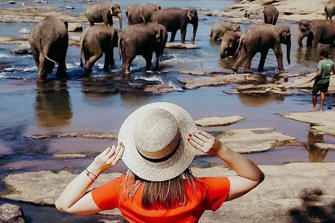 All-Inclusive Private tour in Sri Lankan Island 9 Day HB hotels - Key Points