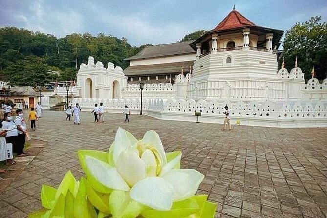 All-Inclusive Private tour in Sri Lankan Island 9 Day HB hotels - Who Will Love This Tour?