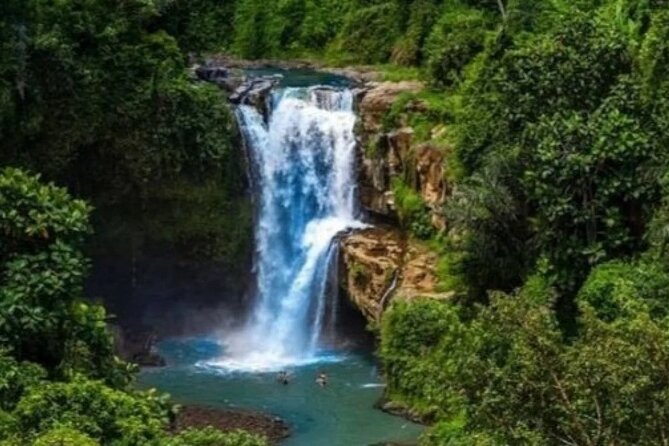 All-Inclusive Private Ubud and Tanah Lot Temple Tour - What’s Included and What’s Not