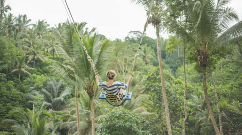 All-Inclusive Private Ubud Tour with Jungle Swing - Final Thoughts: Who Will Love This Tour?