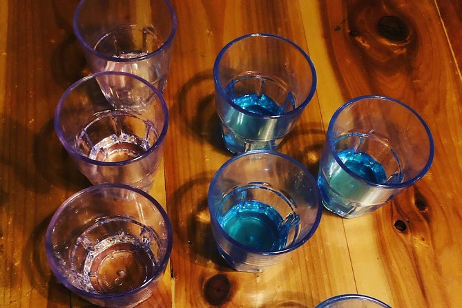 All-Inclusive Pub Crawl with Moonshine, Cocktails, and Craft Beer - The Experience and Your Expectations