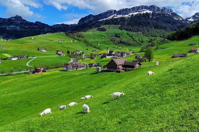 All Inclusive Rhine Falls and Appenzell Private Day Tour from Zurich - Who Will Love This Tour?