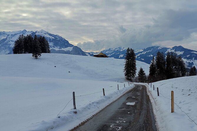 All Inclusive Rhine Falls and Appenzell Private Day Tour from Zurich - The Sum Up