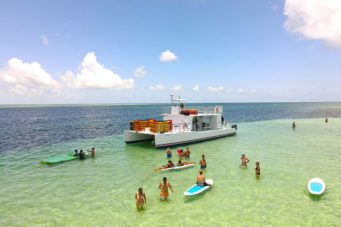 All-Inclusive Sandbar Safari With Dolphin Playground Encounter - Overview and Experience