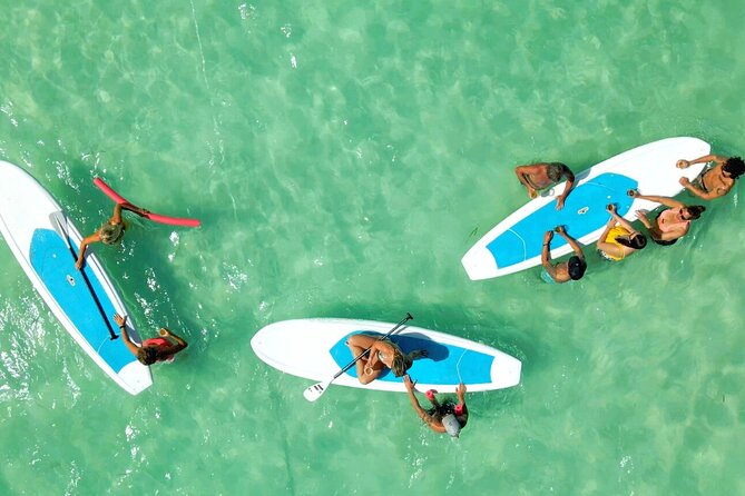 All-Inclusive Sandbar Safari With Dolphin Playground Encounter - Guest Reviews and Feedback