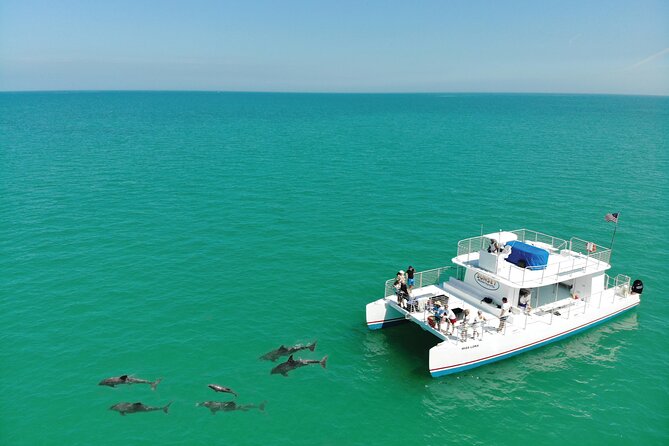 All-Inclusive Sandbar Safari With Dolphin Playground Encounter - Encountering the Dolphin Playground