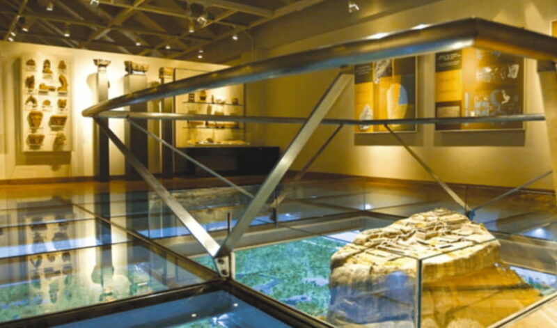 All-inclusive Sigiriya Fortress and Wildlife Safari - Practical Details and What You Need to Know