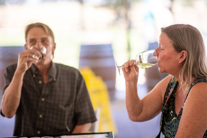 All-Inclusive Social Wine Tour - Culinary Delights on the Tour