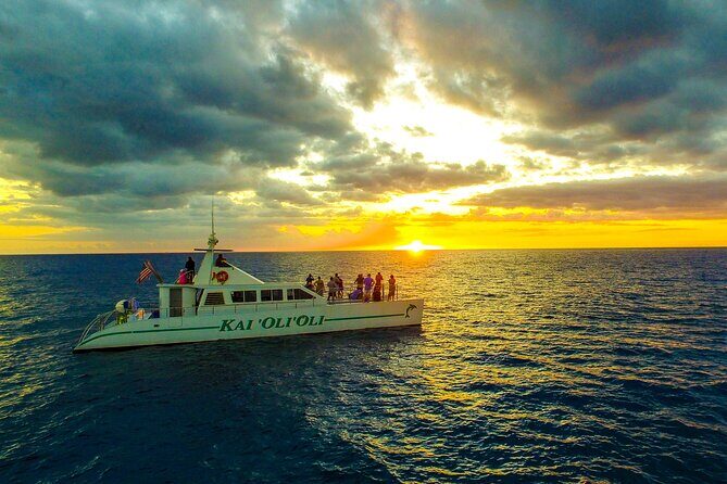 All-Inclusive Sunset Dolphin Watch and Snorkeling Cruise - FAQ