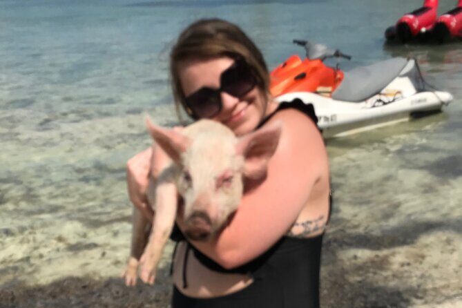 All Inclusive Swimming With The Pigs - Frequently Asked Questions (FAQs)