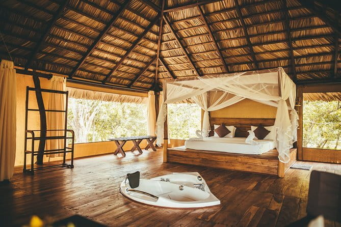 All Inclusive Tented Camping & Luxury Safari Tours in Yala Park - An Up-Close Look at the All-Inclusive Tented Camping & Luxury Safari in Yala Park