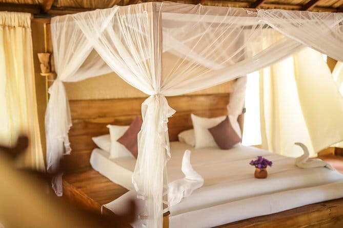 All Inclusive Tented Camping & Luxury Safari Tours in Yala Park - Who Should Consider This Tour?