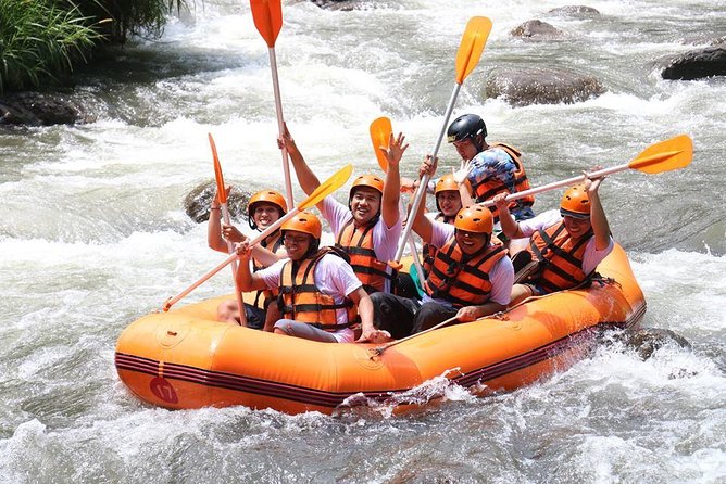 All Inclusive - Toekad Ubud Ayung River Rafting - Who Is This Tour Best For?