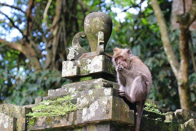 All Inclusive Tour to Tanah Lot Temple and Monkey Forest - What’s Included and What’s Not?