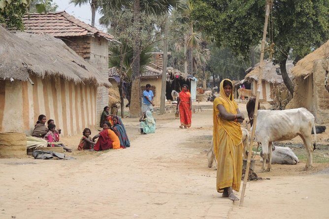 All Inclusive Tribal Village Walk with Visit to Taragram Project from Orchha - Key Points