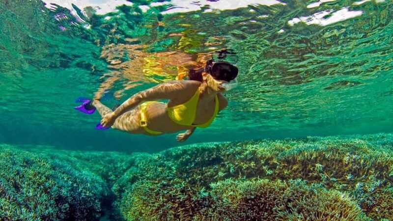 All Inclusive trincomalee: pigeon island tour + Snorkeling - Final Thoughts