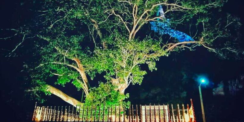 All inclusive - Tuk-Tuk Expedition to Visit Mihintale - Concluding Thoughts