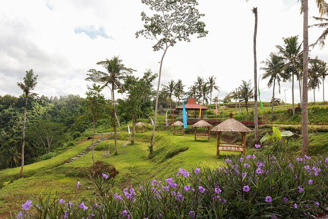 All-Inclusive Ubud Bali Private Full-Day Tour - Exploring the Itinerary: What Makes Each Stop Special