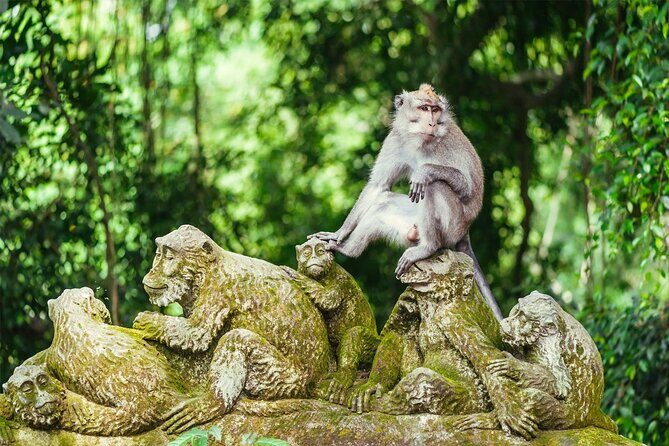 All-Inclusive Ubud Bali Private Full-Day Tour - Practical Details and What Sets This Tour Apart