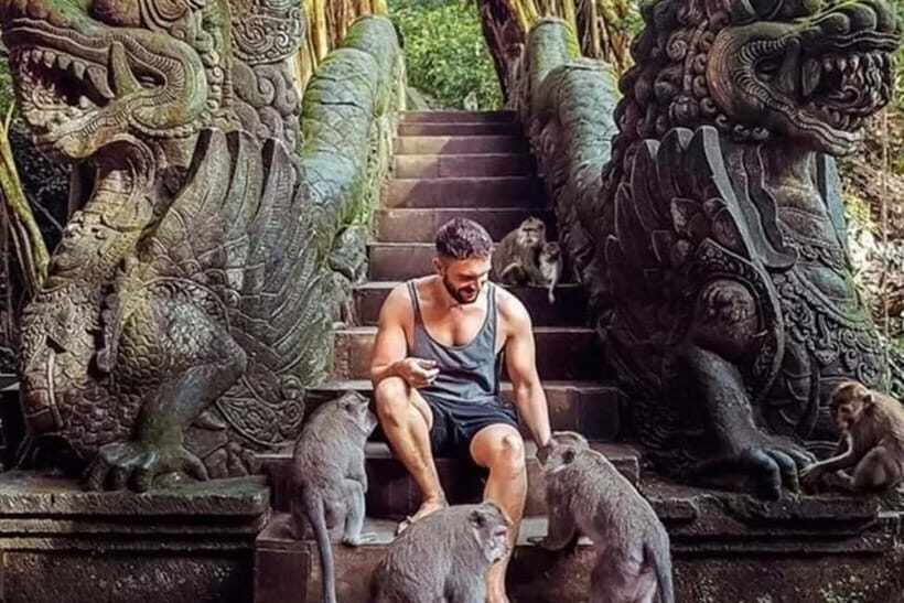 All Inclusive Ubud Private Day Tour - Who Will Love This Tour?