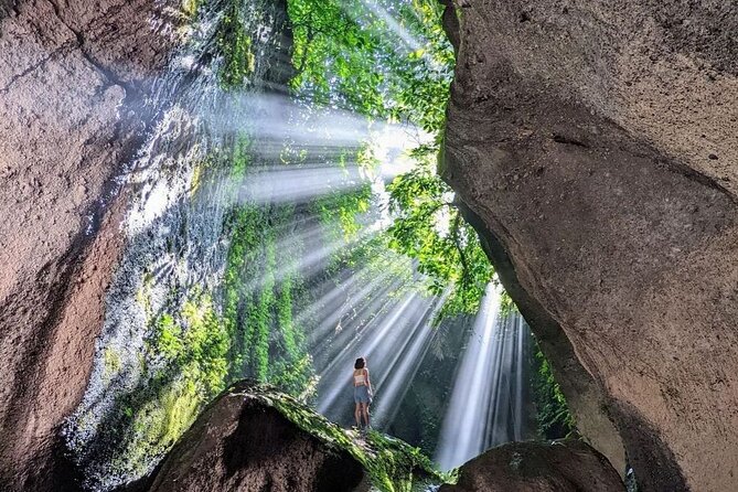 All inclusive Ubud private tour - What to Expect at Each Stop