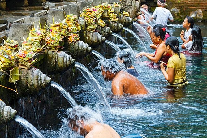 All Inclusive Ubud Tour with 15 Sitter Van - Final Thoughts