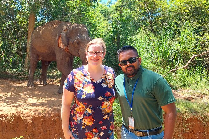All Inclusive Udawalawe National Park Safari Day Tour from Colombo and Negombo - The Experience: What Travelers Are Saying