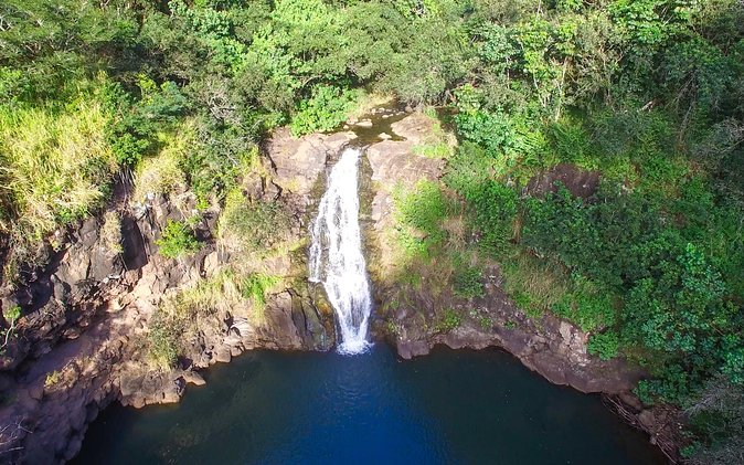 All Inclusive Ultimate Circle Island Tour, Waimea Falls & Lunch - Transportation and Group Size