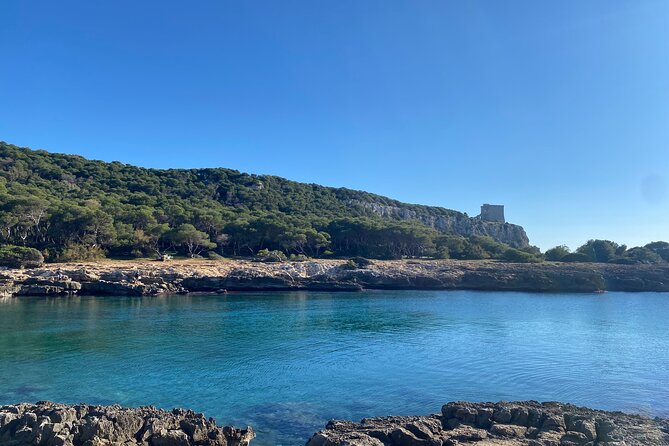 All Inclusive Weeklong Tour of Salento's Coasts and Countryside - Final Thoughts