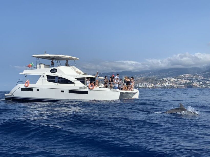 All Inclusive Whale and Dolphin Watching Luxury Tour - Frequently Asked Questions
