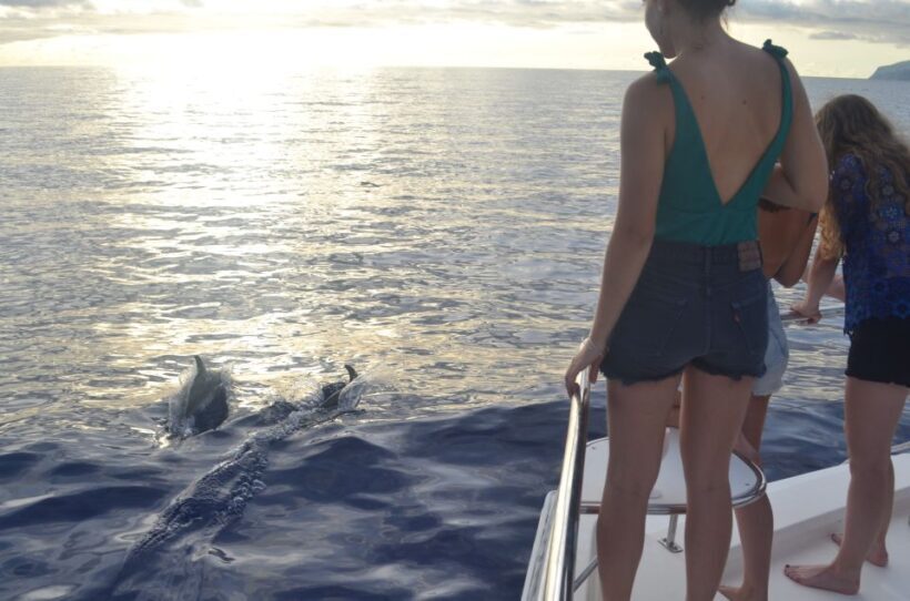 All Inclusive Whale and Dolphin Watching Luxury Tour - Final Thoughts