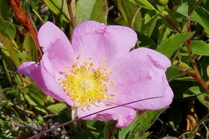 All Island Bus Tour - FAQs About the All Island Bus Tour