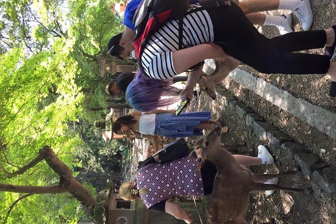 All Must-Sees in 3 Hours - Nara Park Classic Tour! From JR Nara! - Experiencing the Spiritual Significance