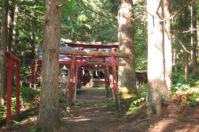 All Must-Sees Tono Private Tour With Government-Licensed Guide - Inclusions and Costs