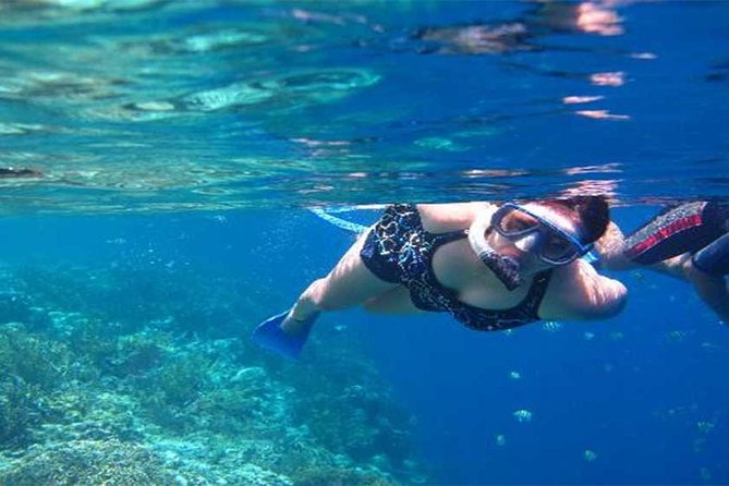All Ticket Inclusive-Blue Lagoon Snorkeling-Ubud Monkey Forest & Ubud Waterfall - A Full Picture of the Bali Land and Sea Tour