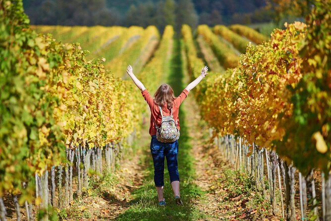 All Tuscany Private Siena San Gimignano & Chianti Livorno Shore Excursion - Final Thoughts