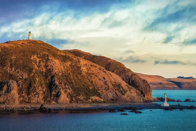 All Who Wander Wellington Are Not Lost - FAQ