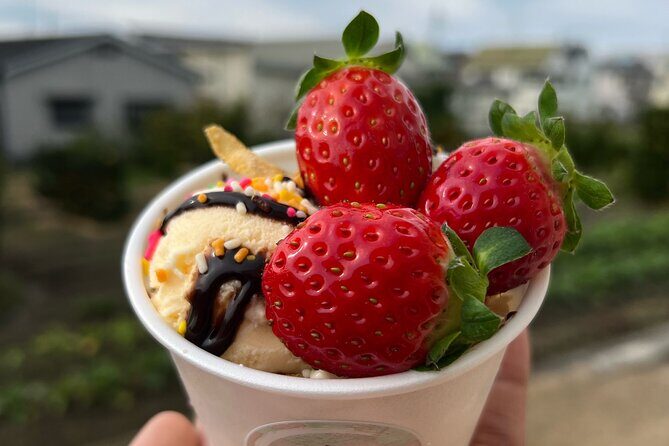 All You Can Eat Strawberry Picking in Izumisano Osaka - Exploring Ichigo Lab: An Authentic Strawberry Experience