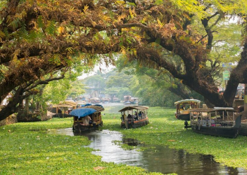 Alleppey Photography Guided Walk Tour with Tuk Tuk Ride - Final Thoughts: Is This Tour for You?
