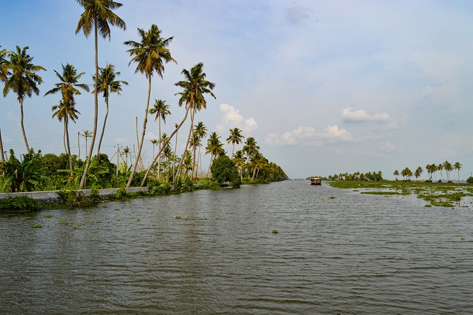 Alleppey Village and Canal Cruise in Houseboat from Kochi. - What Makes This Tour Stand Out?