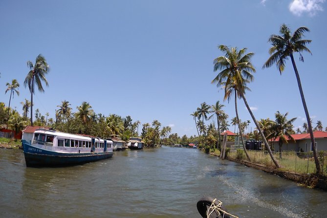 Alleppey Village and Canal Cruise in Houseboat from Kochi. - Practical Tips for Your Trip
